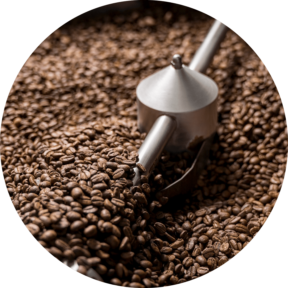 NOS METIERS - OriginesTeaAndCoffee - Site Pro
